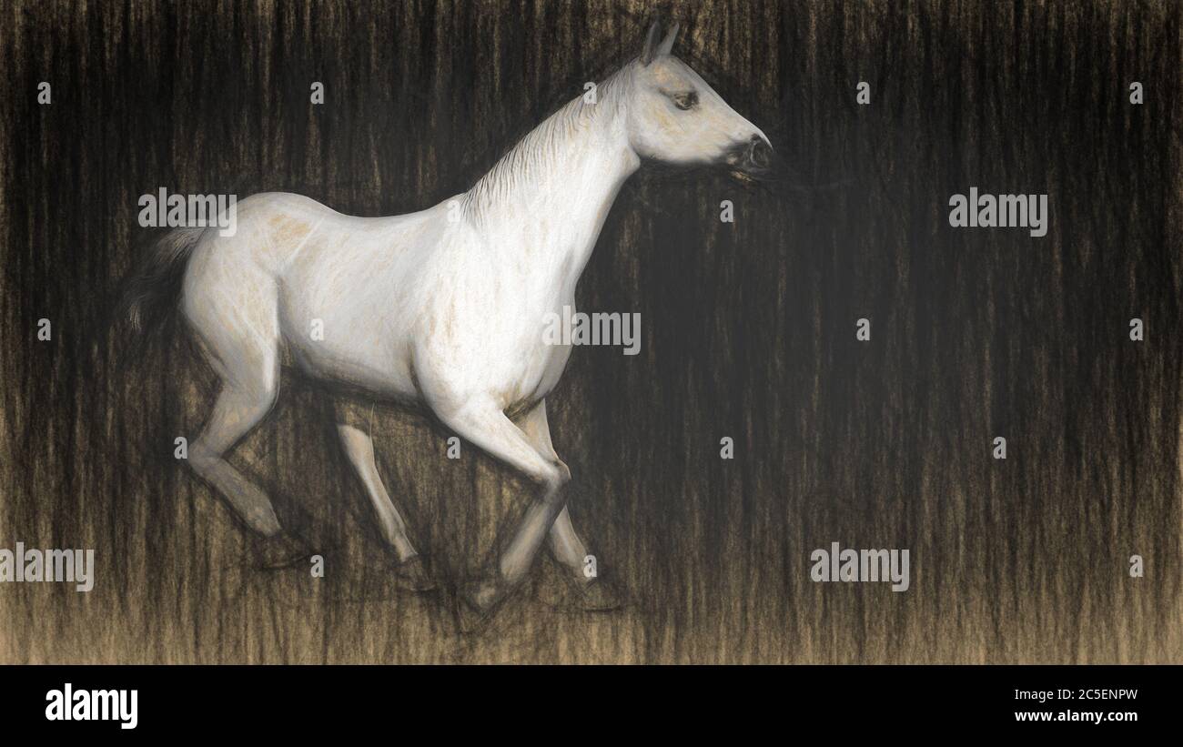 Digital 3d illustration of horse Stock Photo - Alamy