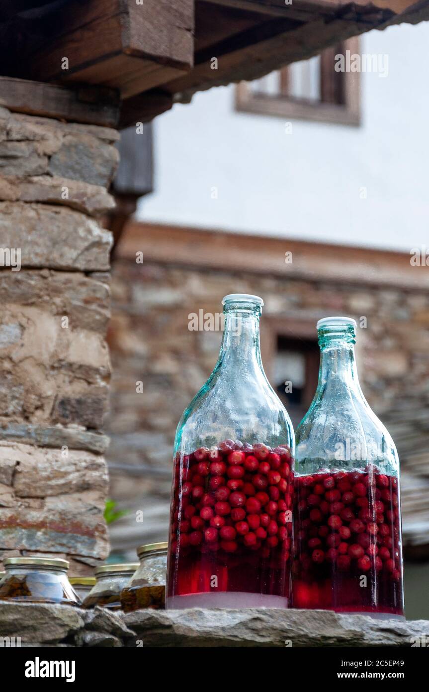 Redcurrant liqueur production hi-res stock photography and images - Alamy