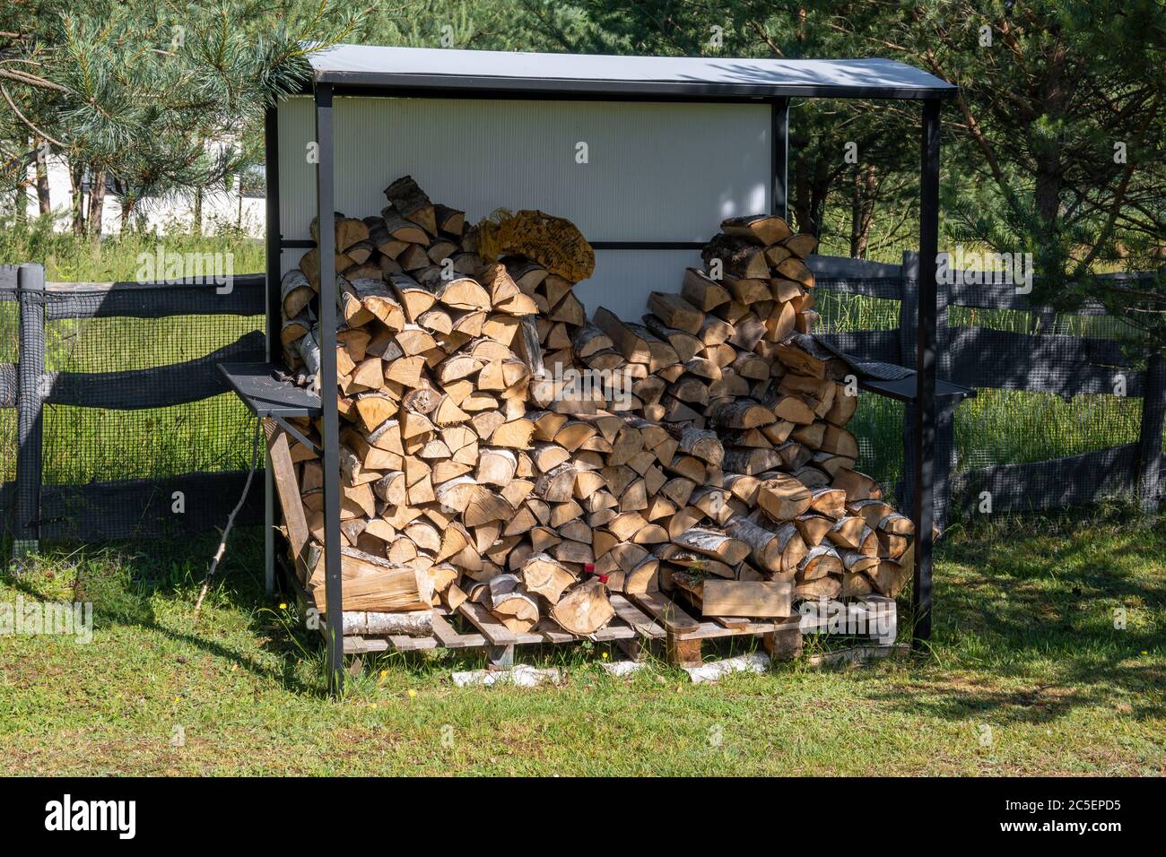 Woodshed with birch tree for a bonfire in the garden Stock Photo - Alamy
