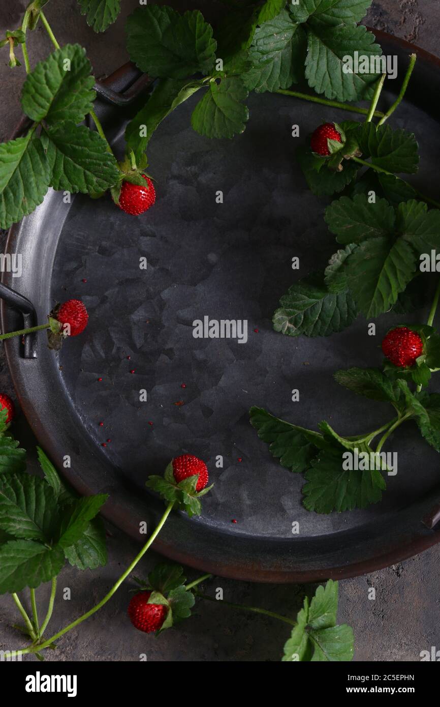 natural wild berry strawberries on a wooden table Stock Photo - Alamy