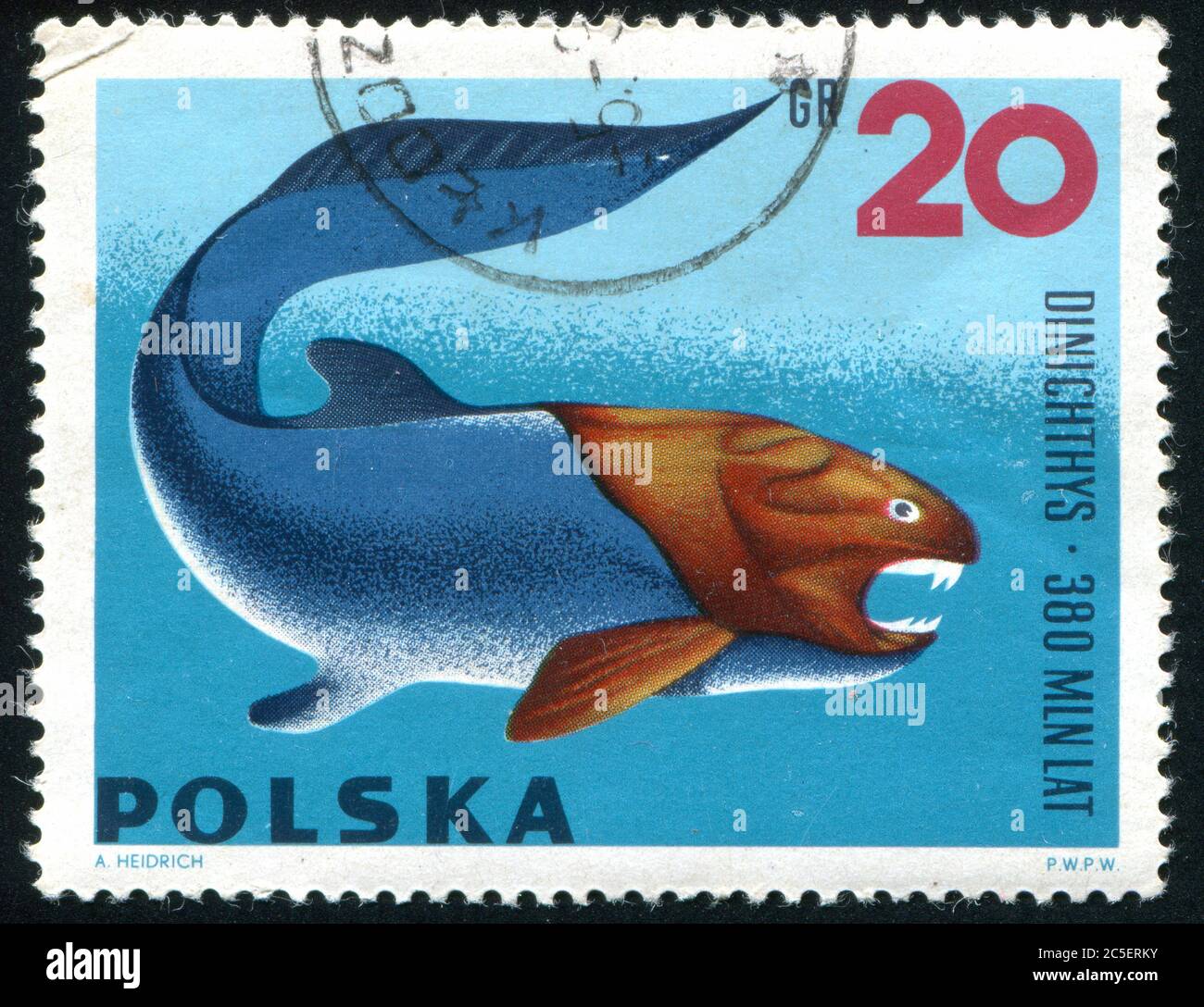 Dinichthys hi-res stock photography and images - Alamy