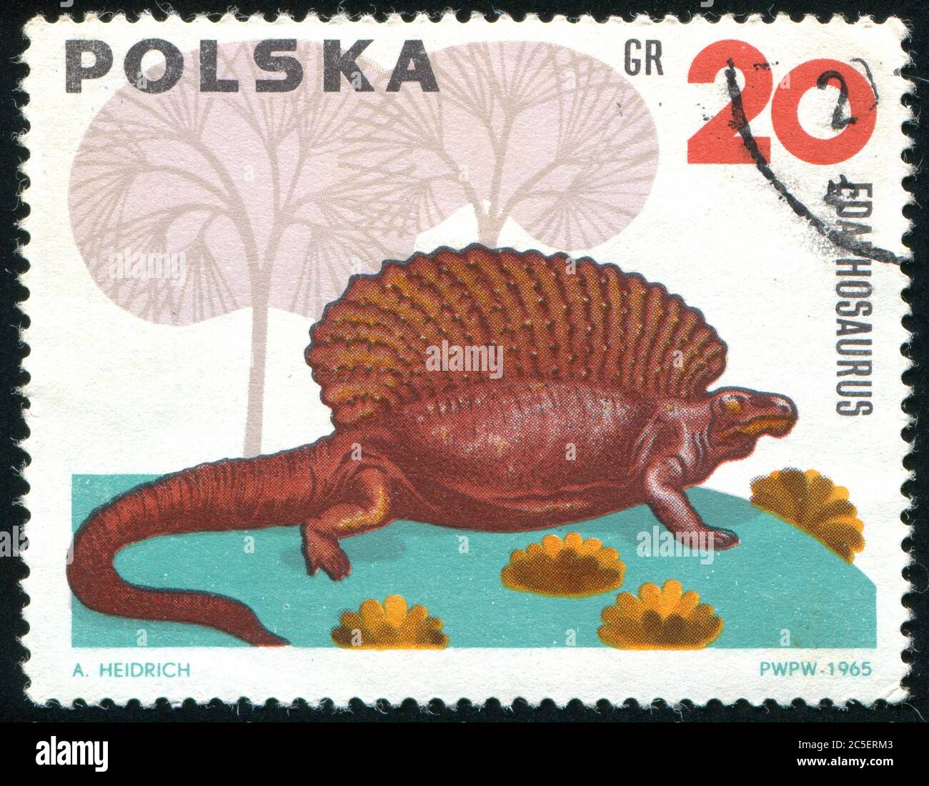 Edaphosaurus teeth hi-res stock photography and images - Alamy