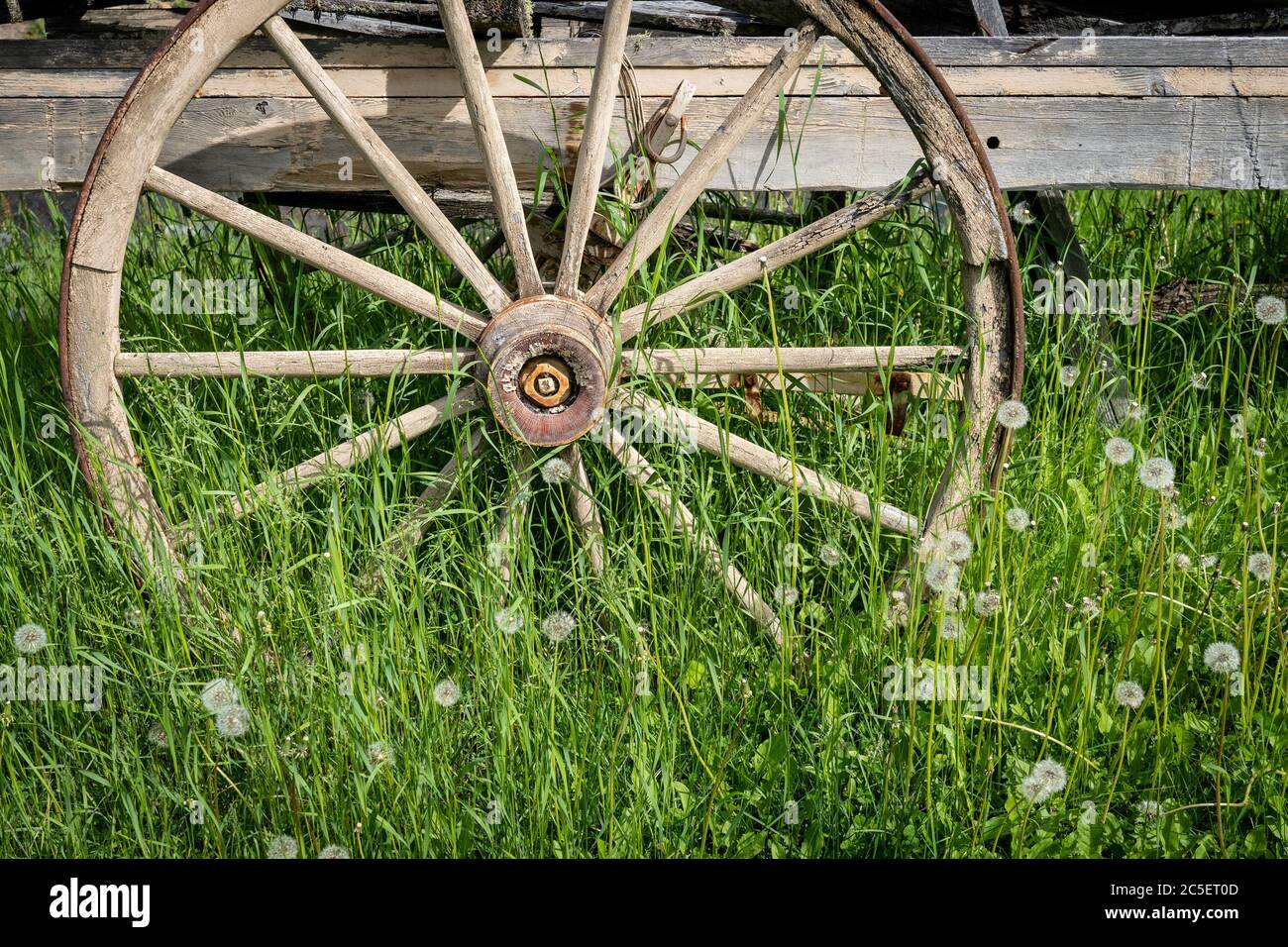 Old-fashioned Wagon at Chena Hot Springs Resort in Fairbanks, Alaska ...