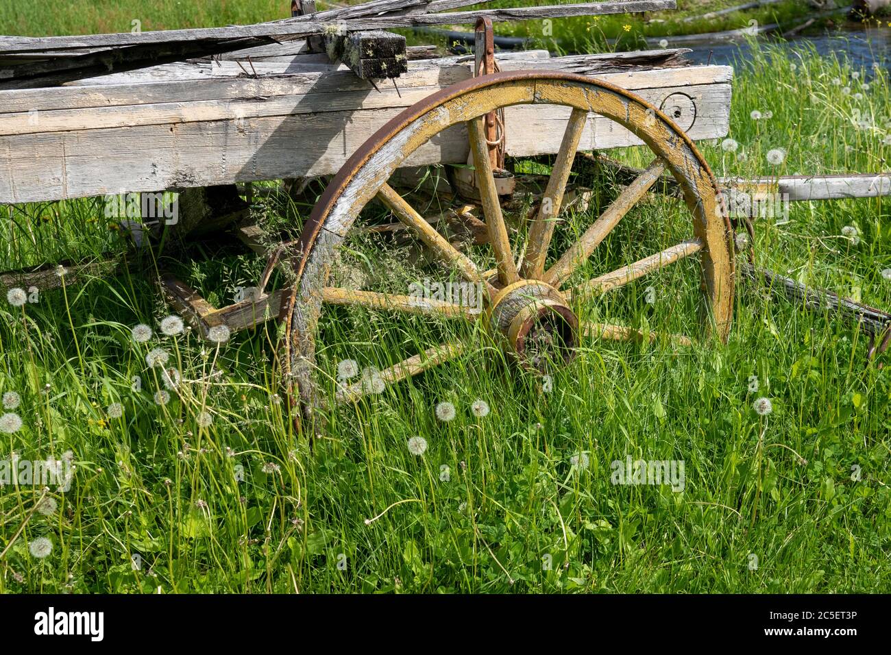Old-fashioned Wagon at Chena Hot Springs Resort in Fairbanks, Alaska ...
