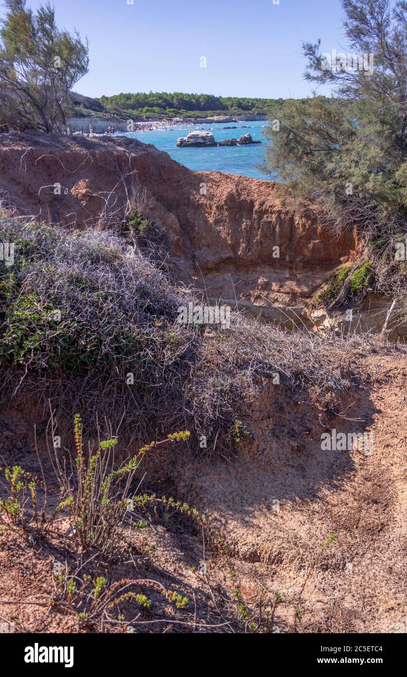 Protected oasis of the lakes Alimini: Turkish Bay.It's one of the most ...