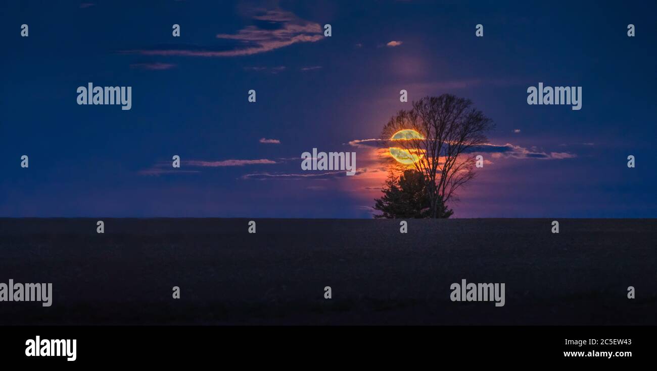 Peaceful field hi-res stock photography and images - Alamy