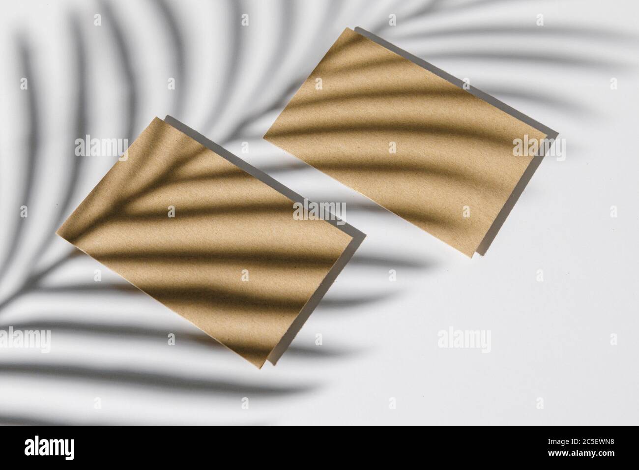 Business card on paper background with foliage shadow Stock Photo - Alamy