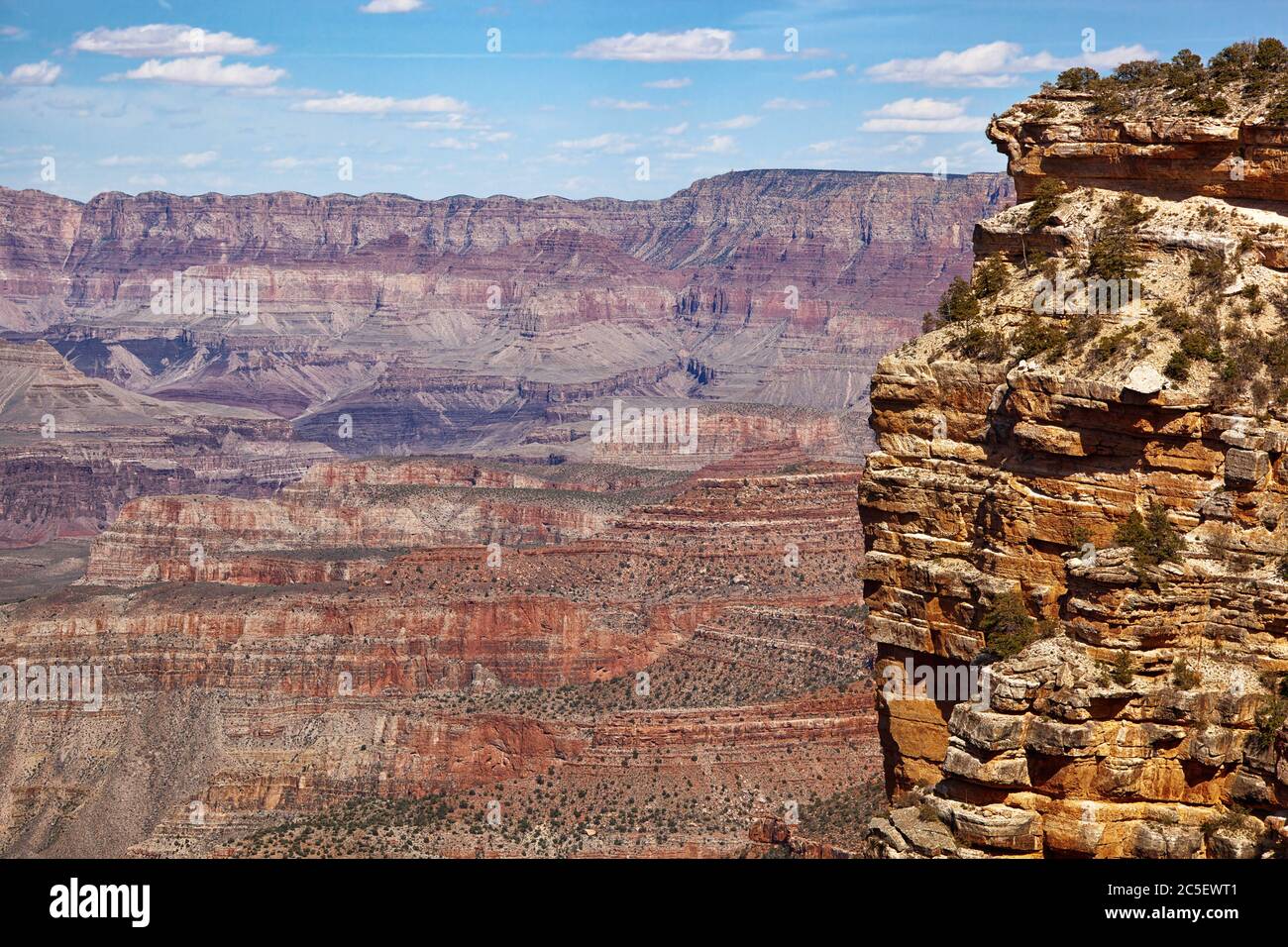 The South Rim of the Grand Canyon, Arizona, USA Stock Photo - Alamy