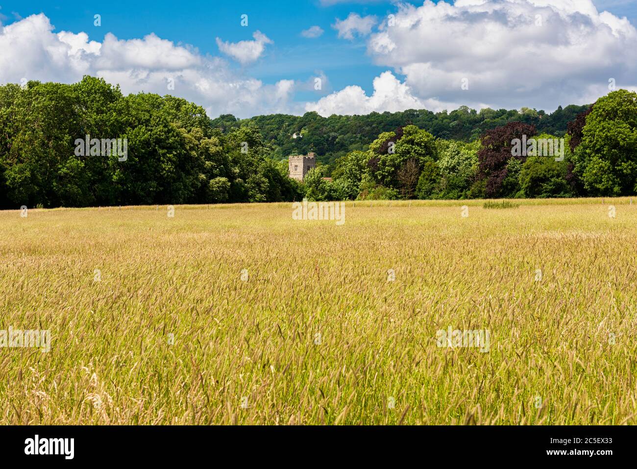 St Mary's & All Saints Church in Boxley, near Maidstone in Kent ...