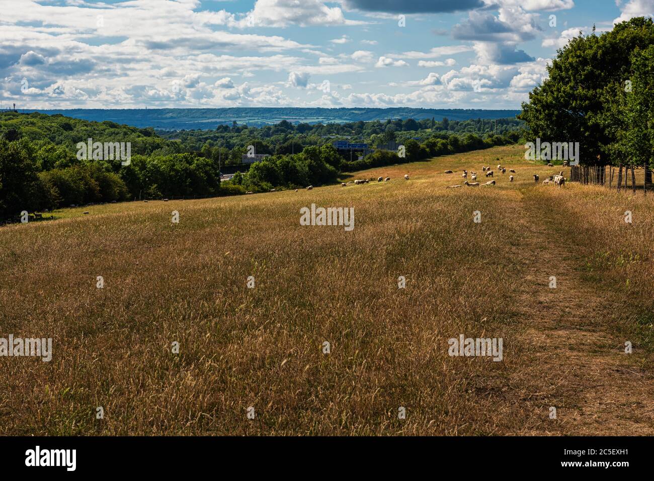 Boxley hi-res stock photography and images - Alamy