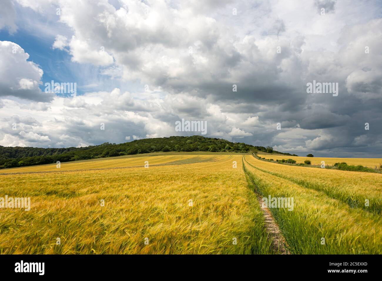 Dramatic outdoor scene hi-res stock photography and images - Alamy