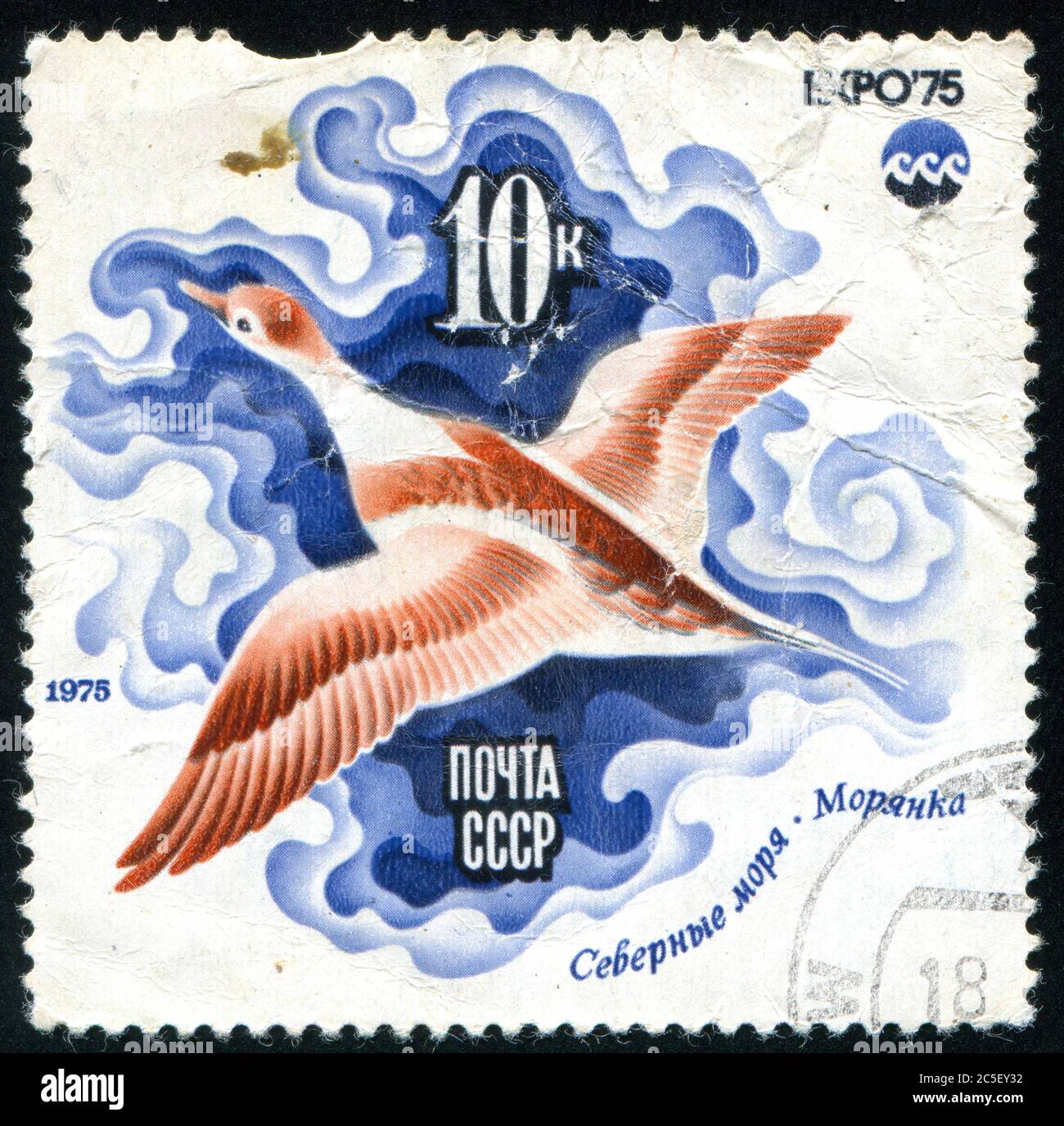 RUSSIA - CIRCA 1975: stamp printed by Russia, shows Sea duck, circa ...