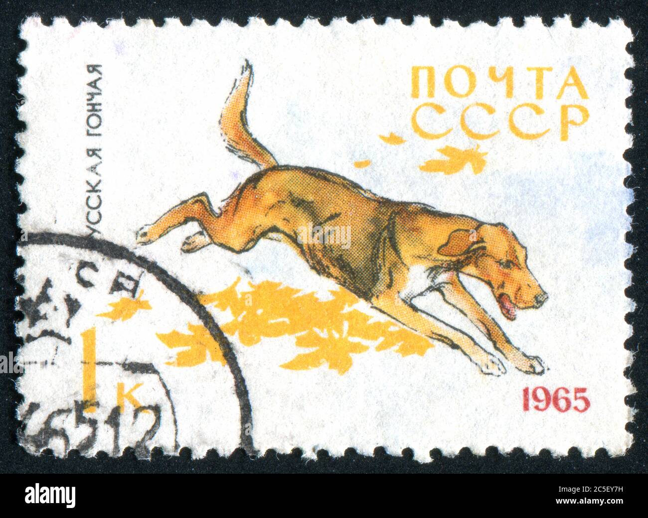 RUSSIA - CIRCA 1965: stamp printed by Russia, shows Russian hound ...