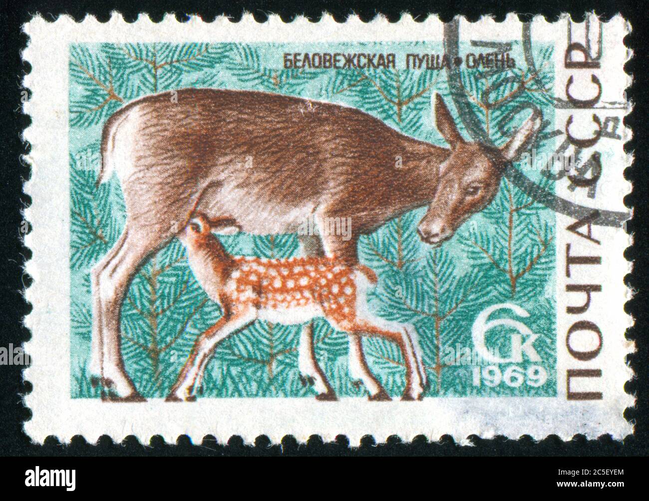 RUSSIA - CIRCA 1969: stamp printed by Russia, shows Doe and fawn, circa ...