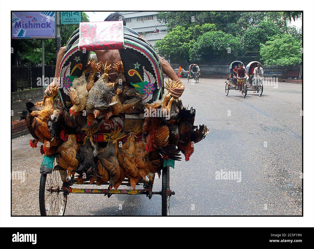 Traders carrying chickens to the market by a rickshaw. Chittagong ...