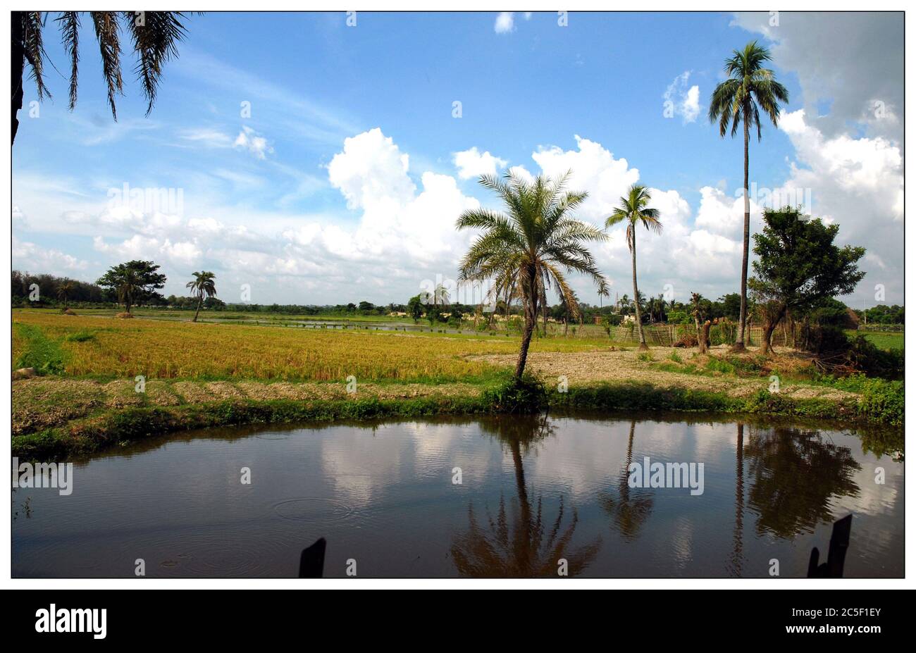 Landscape. Kattuli, Chittagong, Bangladesh. September 18, 2007 Stock ...