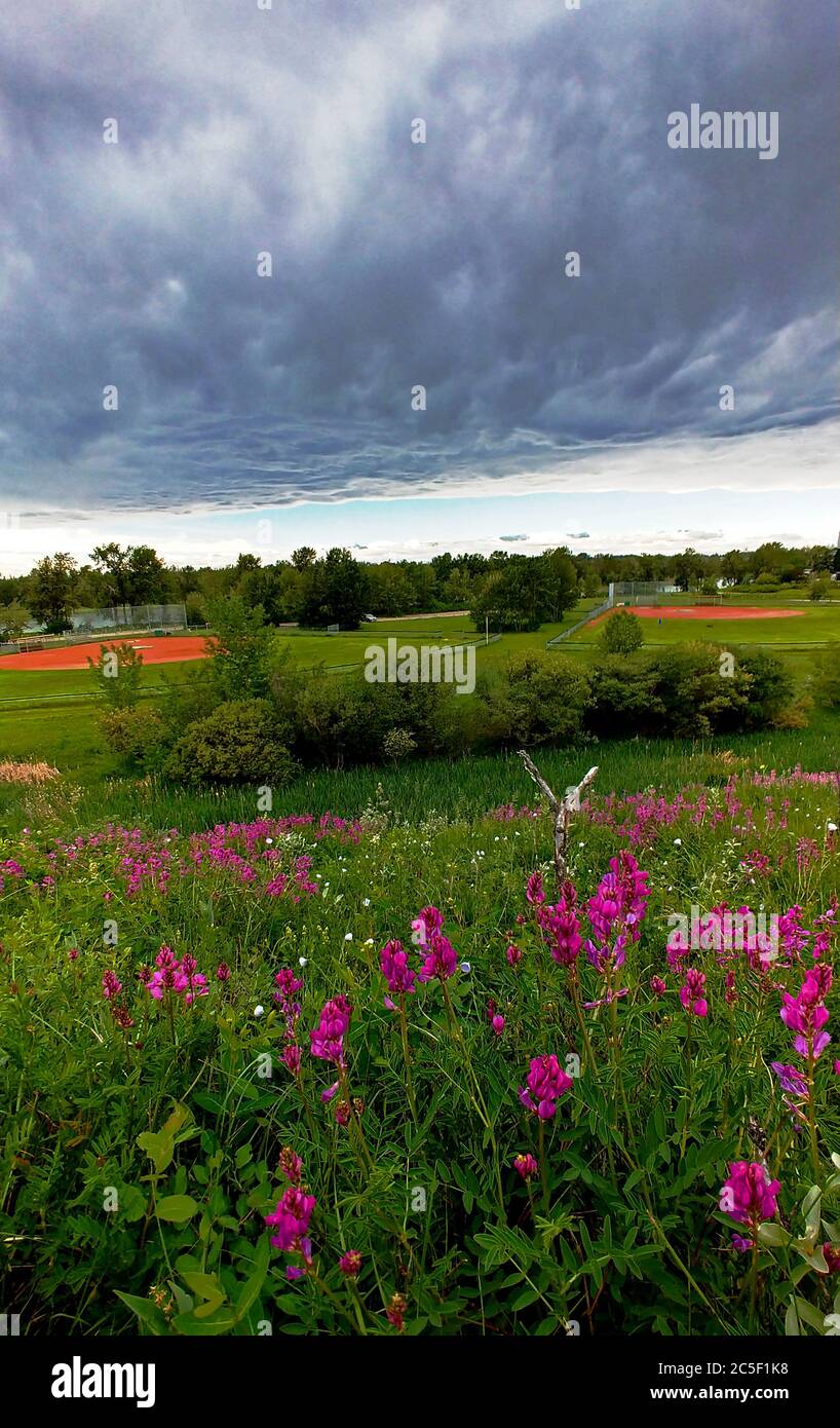 Chinook arch hi-res stock photography and images - Alamy