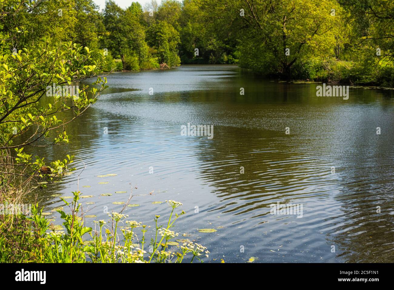 River Medway between Maidstone and Wateringbury in Kent, England Stock ...
