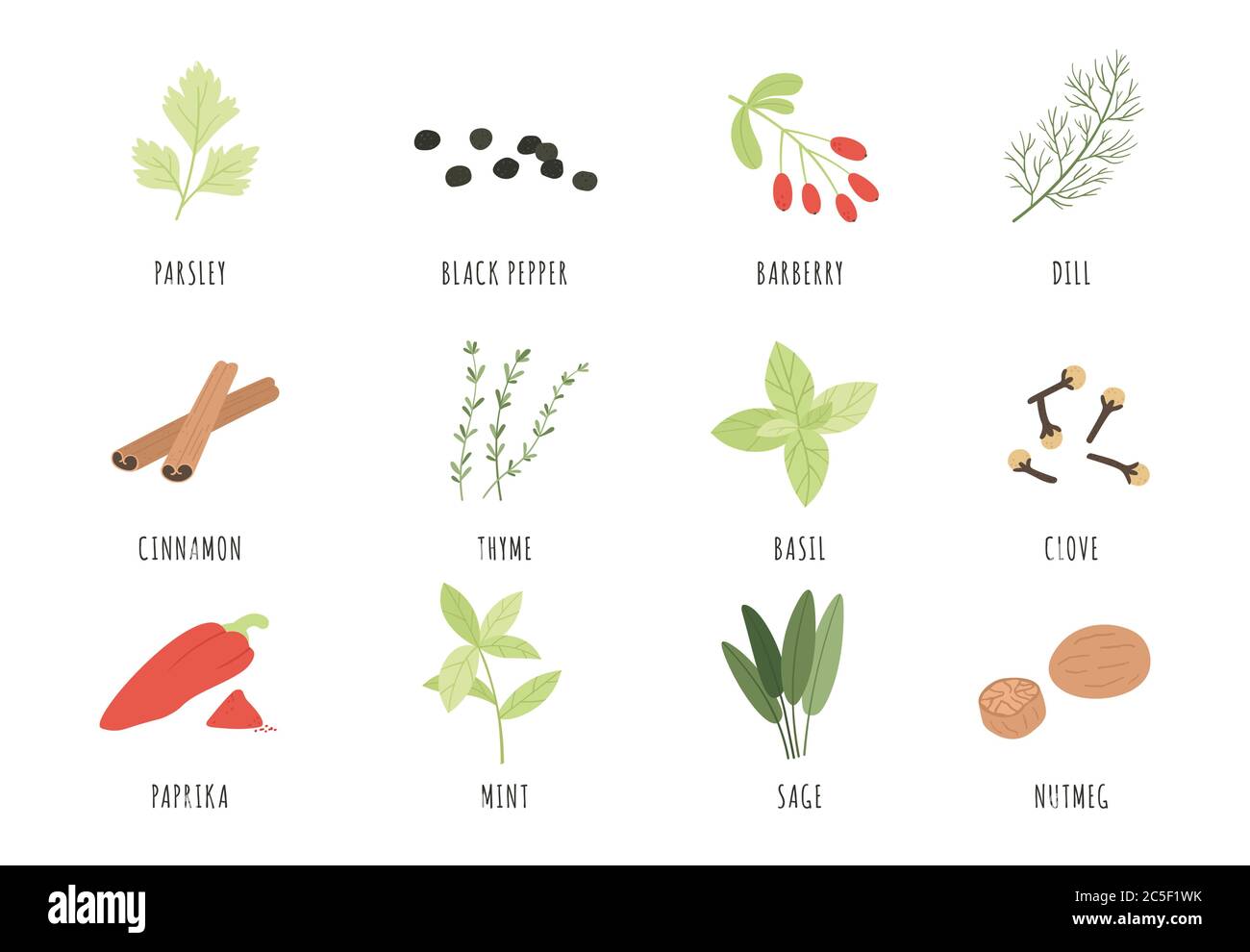 Spices and herbs. Cartoon black pepper, basil and dill, thyme. Cinnamon ...