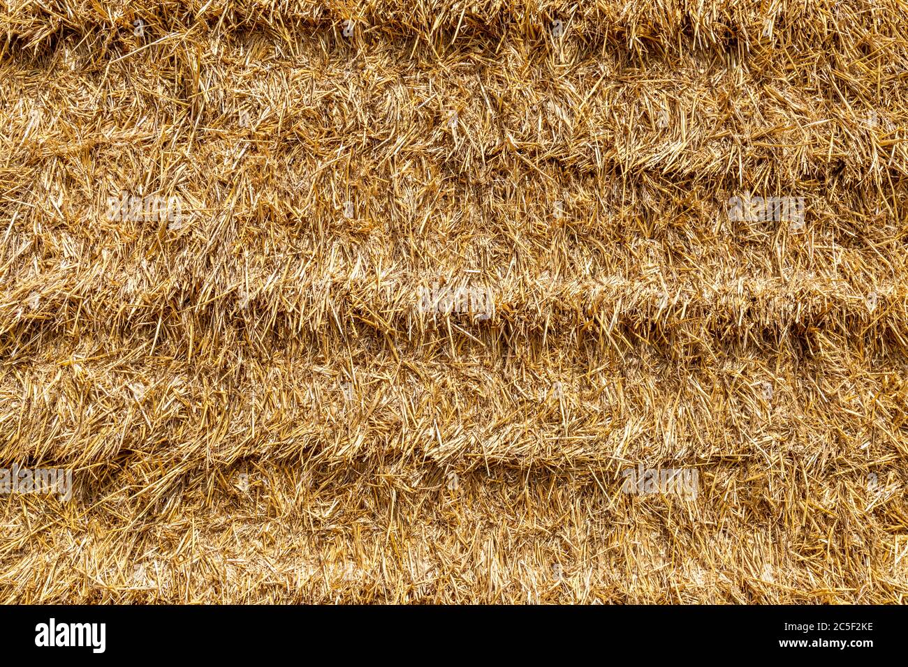 A full frame photograph of a haystack after harvesting Stock Photo - Alamy