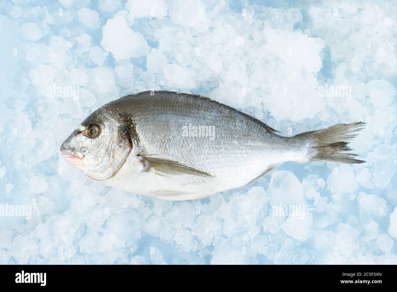 Dorada fish hi-res stock photography and images - Alamy