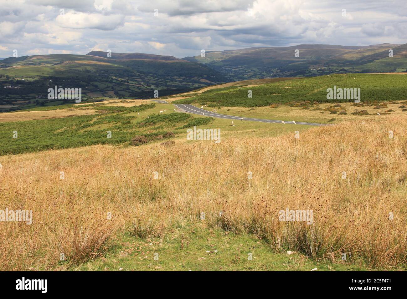 The backroads of NorthWales Stock Photo - Alamy