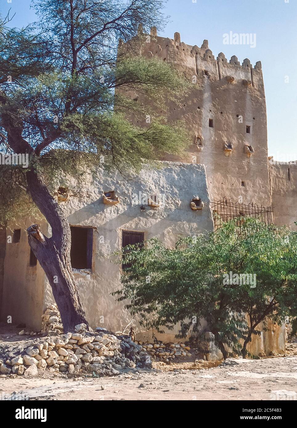 The Arabian sea Gulf state of Qatar around 1981-82 seen here with the ...