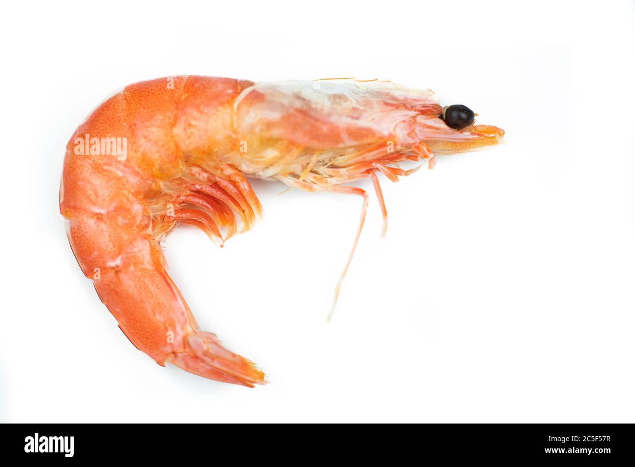 shrimp on white background Stock Photo - Alamy