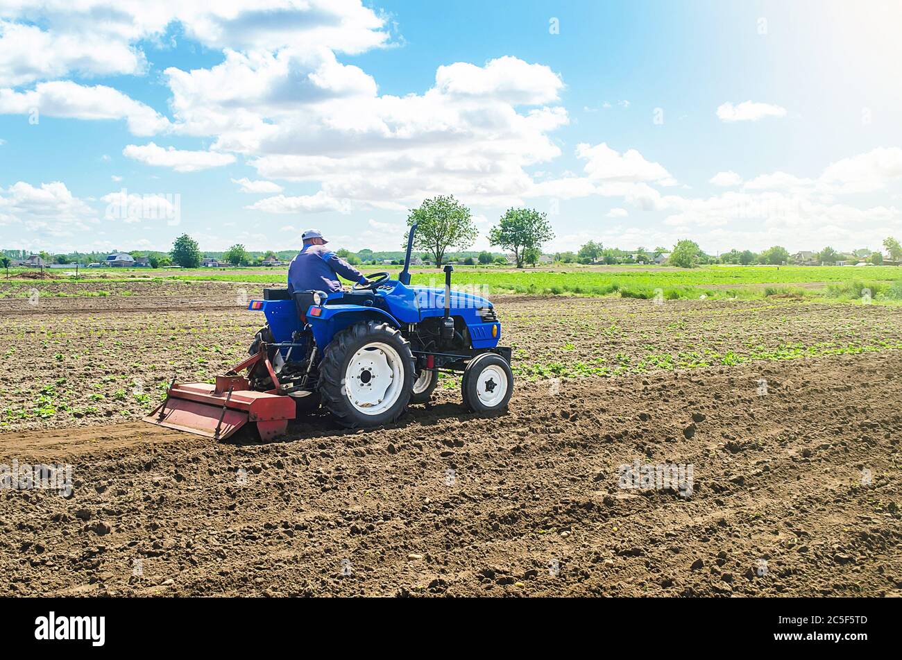 A farmer on a tractor mills the soil with a milling machine equipment ...