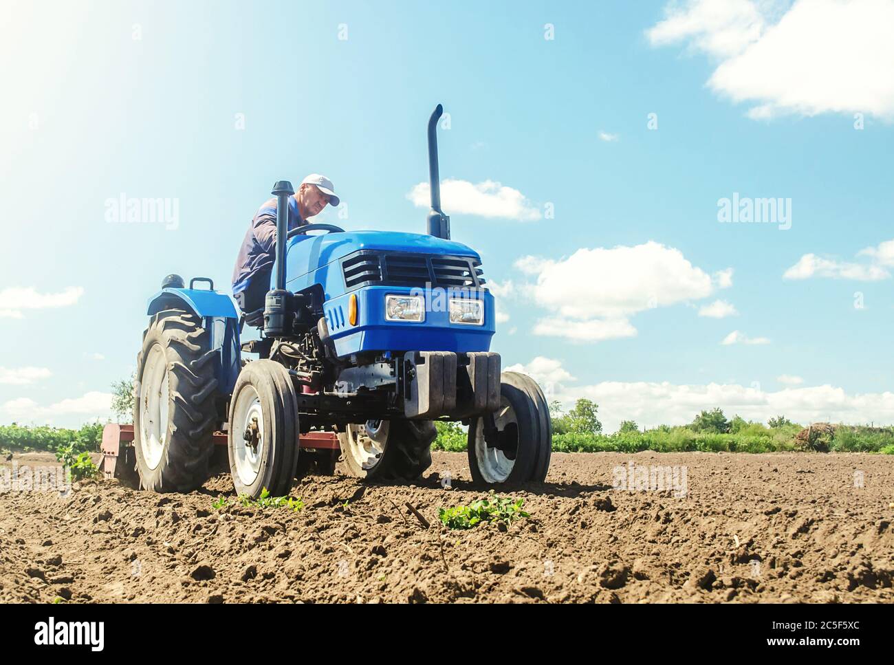 The farmer works on a tractor. Loosening the surface, cultivating the ...