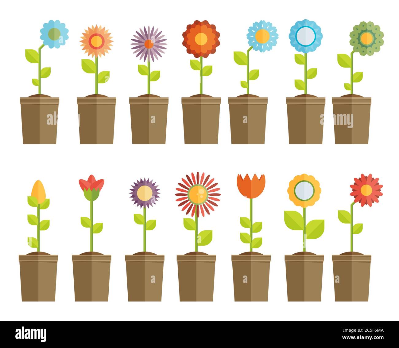 Yellow field bright flowers Stock Vector Images - Alamy