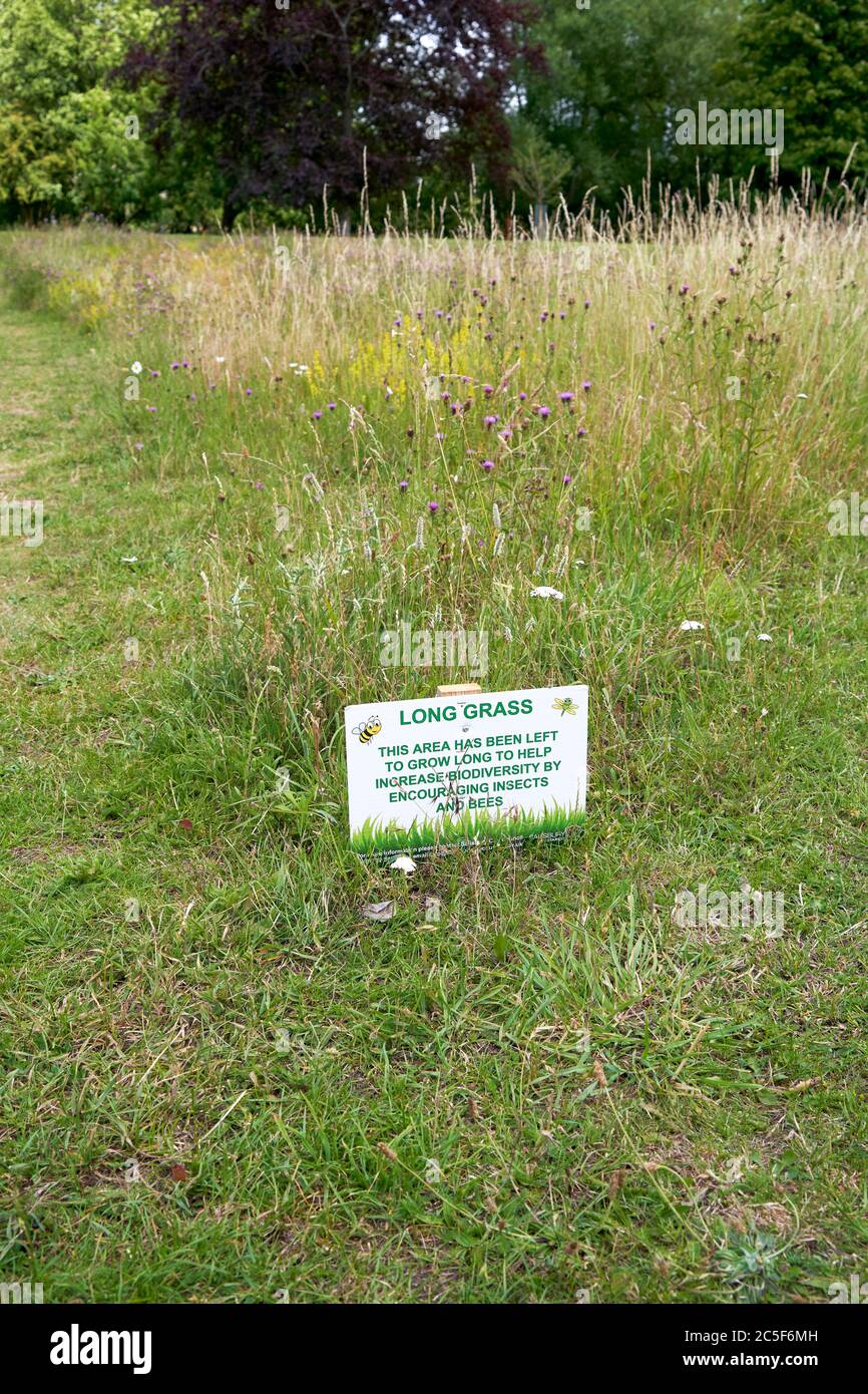Grass insects hi-res stock photography and images - Alamy