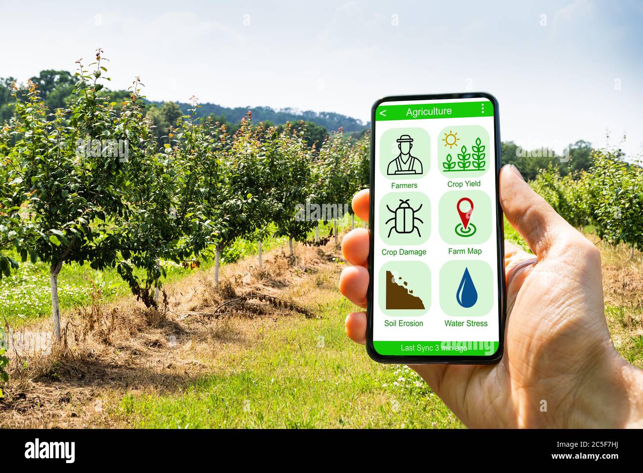 Smart Farming Digital Technology Agriculture App At Farm Stock Photo ...