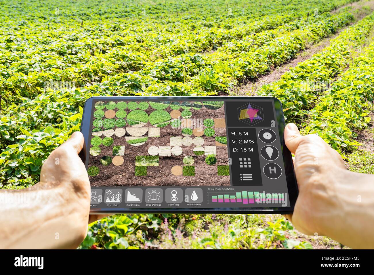 Smart Farming Digital Technology Agriculture App At Farm Stock Photo ...