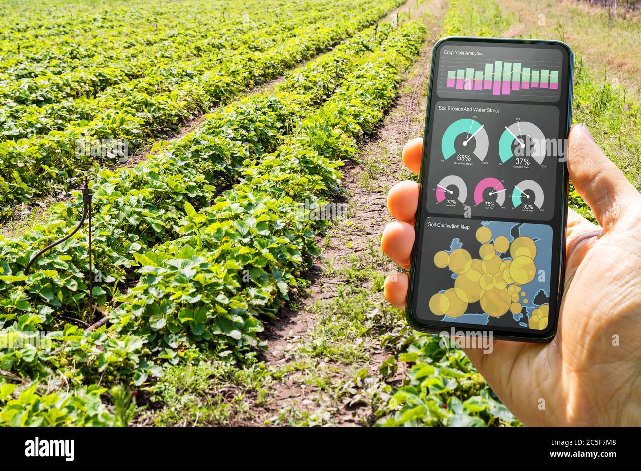 Smart Farming Digital Technology Agriculture App At Farm Stock Photo ...