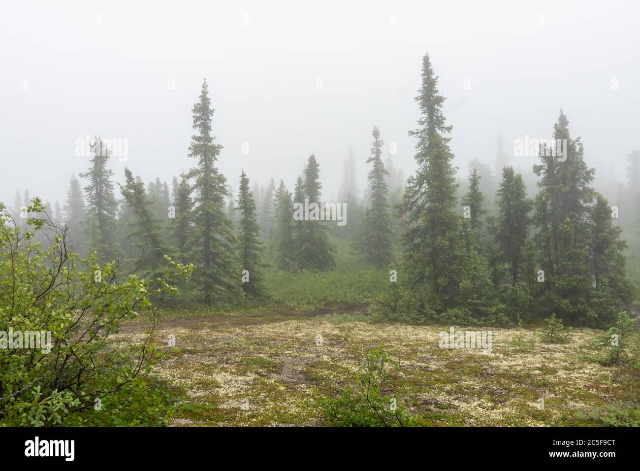 Chena Hot Springs Resort in Fairbanks, Alaska Stock Photo - Alamy
