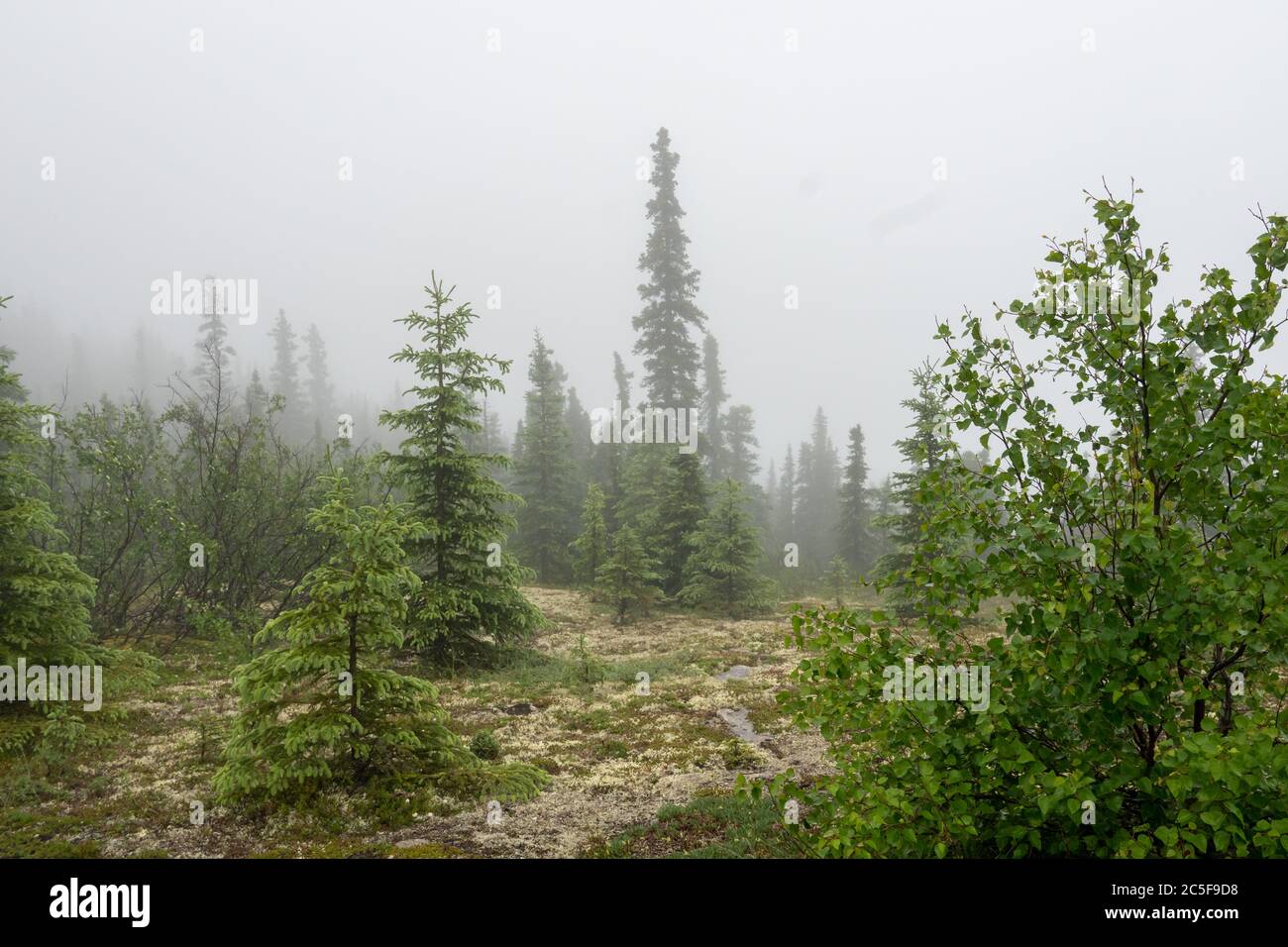 Chena Hot Springs Resort in Fairbanks, Alaska Stock Photo - Alamy