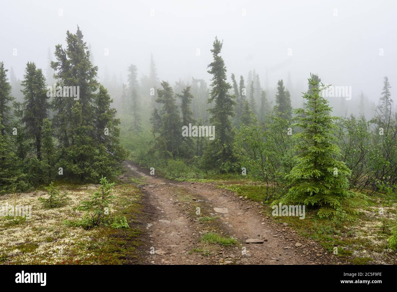 Chena Hot Springs Resort in Fairbanks, Alaska Stock Photo - Alamy