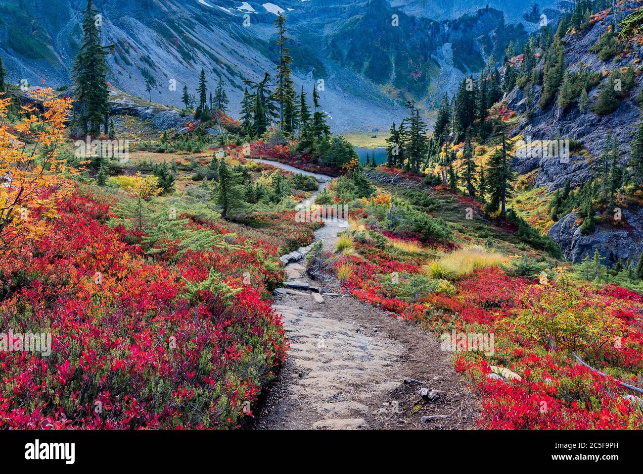 Fall colour, Heather Meadows, Mount Baker-Snoqualmie National Forest ...
