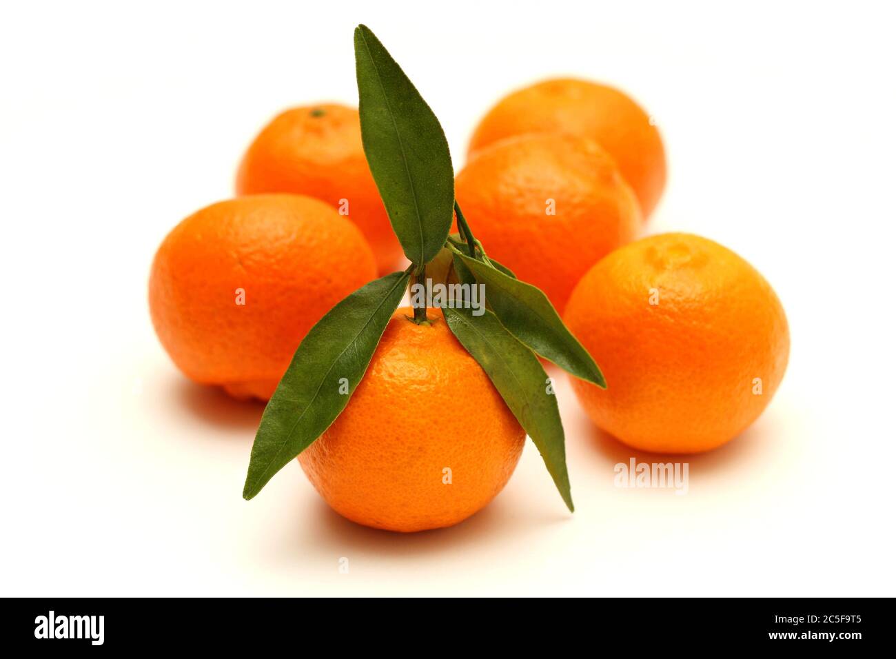 Clementines on white background Stock Photo - Alamy