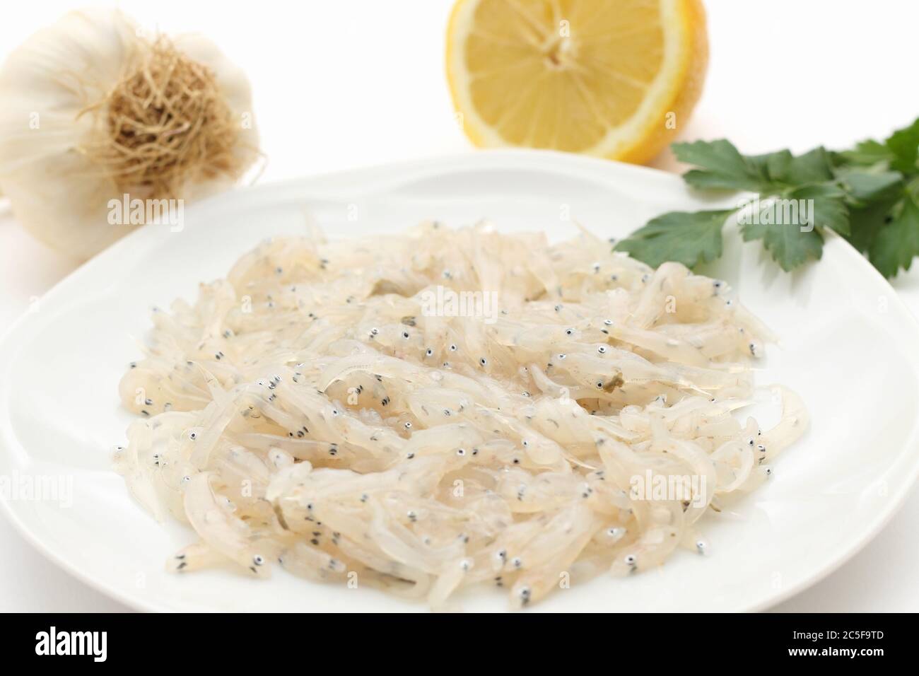 Aphia minuta hi-res stock photography and images - Alamy