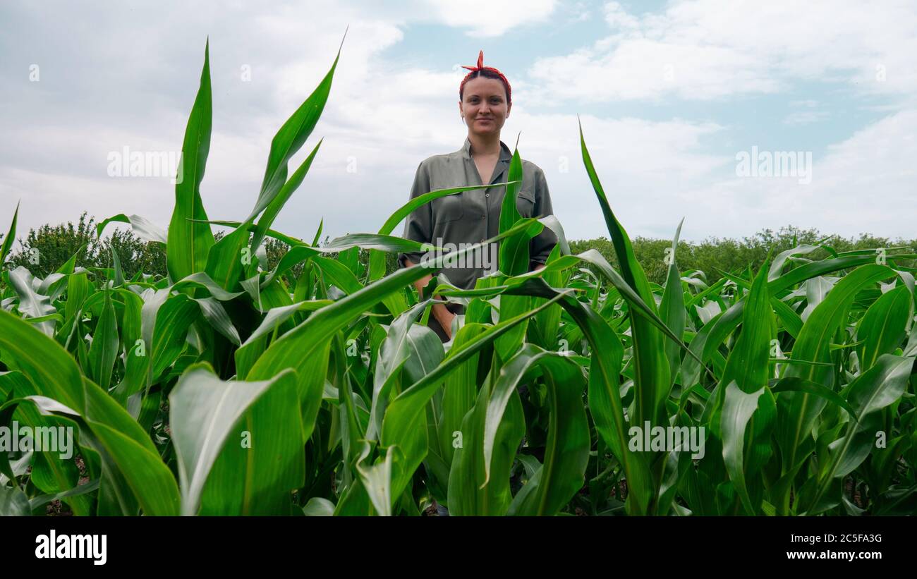 Farmer woman in corn filed Stock Photo - Alamy