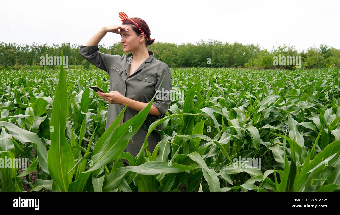 Female farmer in a corn field Stock Photo - Alamy