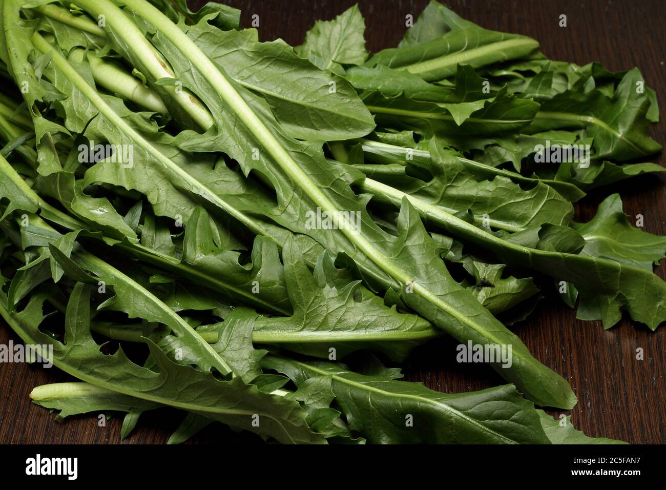 ‘catalogna’ lettuce hi-res stock photography and images - Alamy