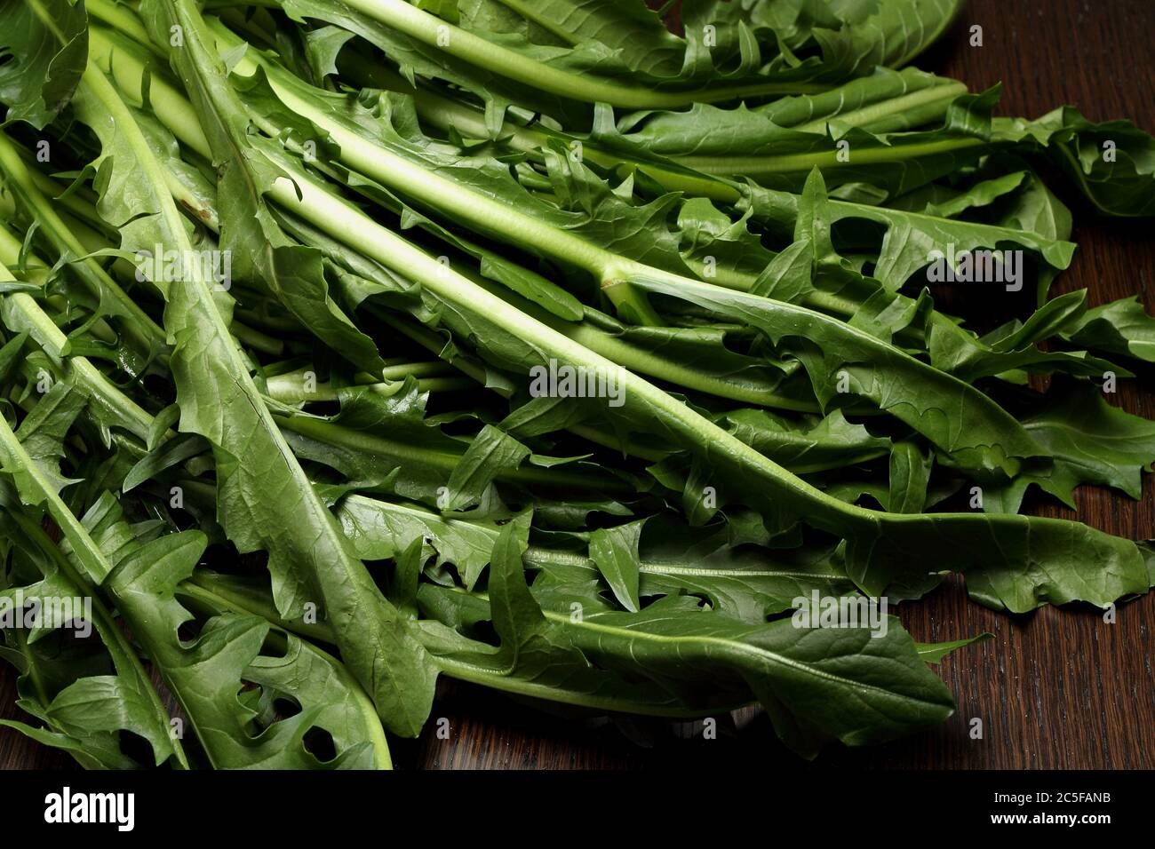 ‘catalogna’ lettuce hi-res stock photography and images - Alamy