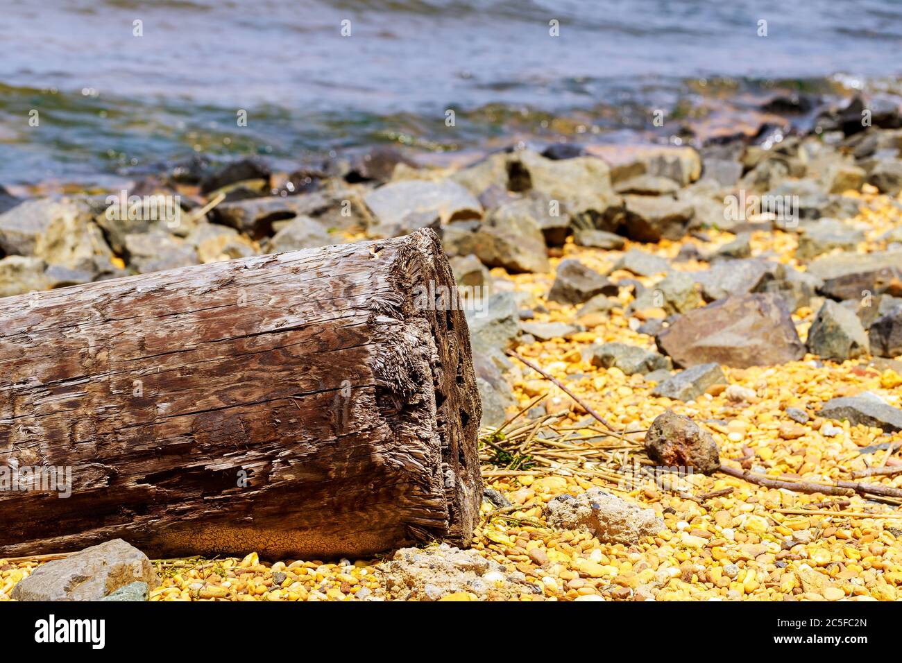 Wood log washed up on sand and rocks of seaside Stock Photo - Alamy