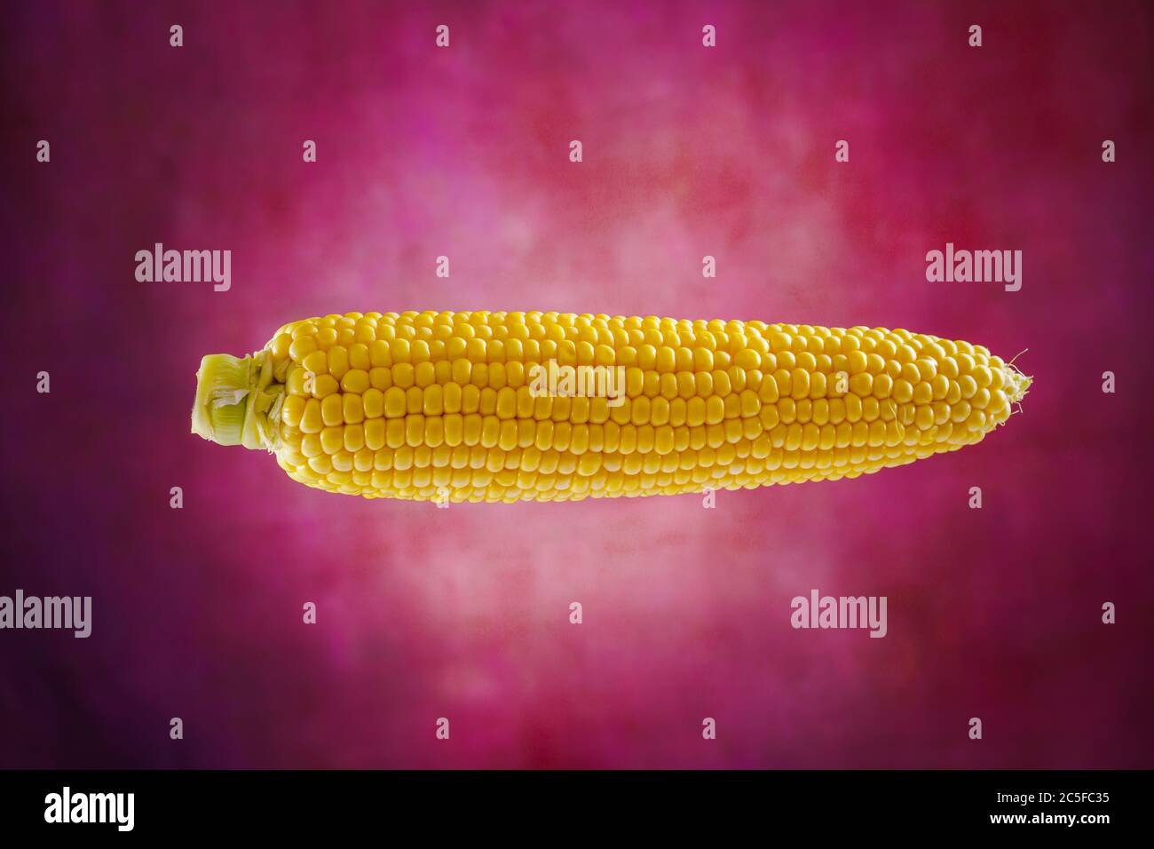 Cob white purple corn hi-res stock photography and images - Alamy