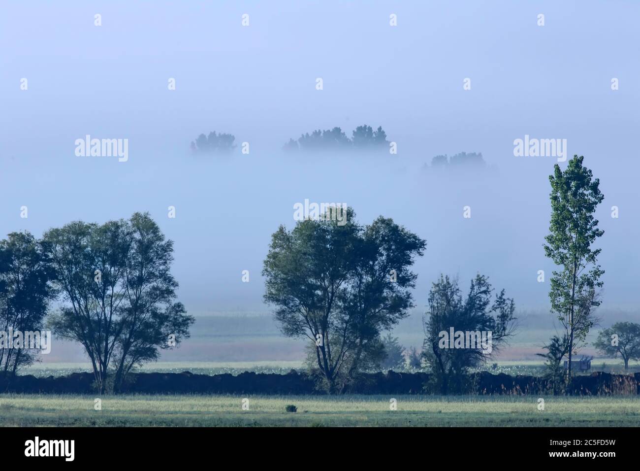 Foggy nature landscape. Foggy fields background Stock Photo - Alamy