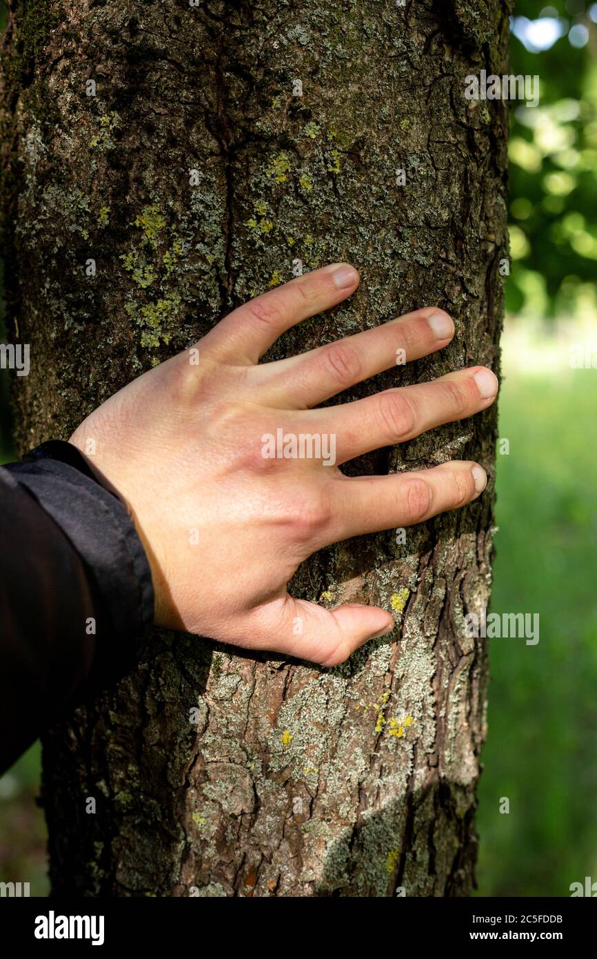 Male hand on a tree trunk Stock Photo - Alamy