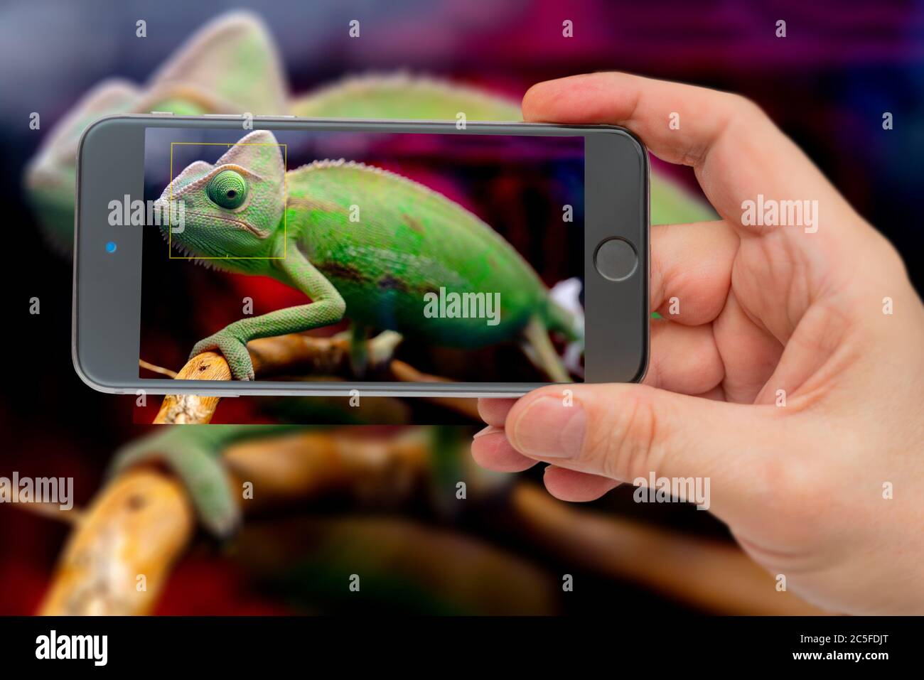 Chameleon technology hi-res stock photography and images - Alamy